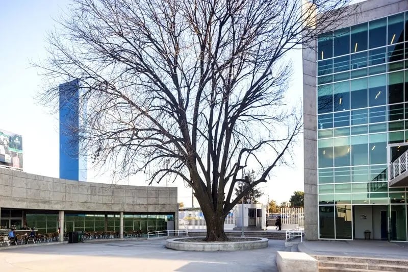 UNITEC Campus Guadalajara | Comienza tus Estudios